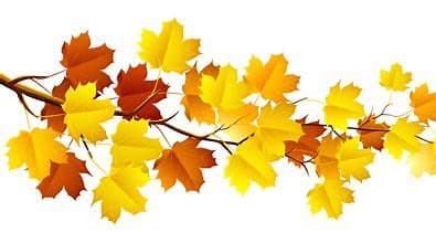 Home | Northaven Terrace